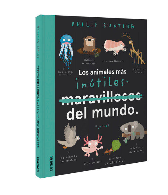 Los Animales Mas Inutiles Del Mundo – Bukz
