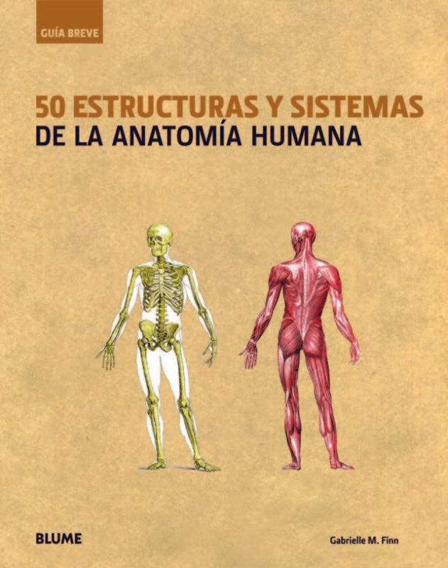 Gu¡A Breve. 50 Estructuras Y Sistemas De La Anatom¡A Humana – Bukz